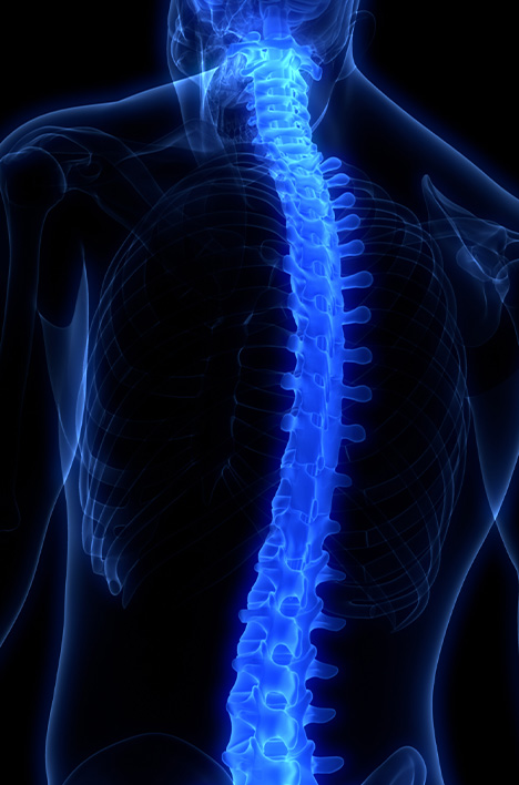 A CRO for successful special procedure study conduct with CSF A CRO for successful special procedure study conduct with CSF